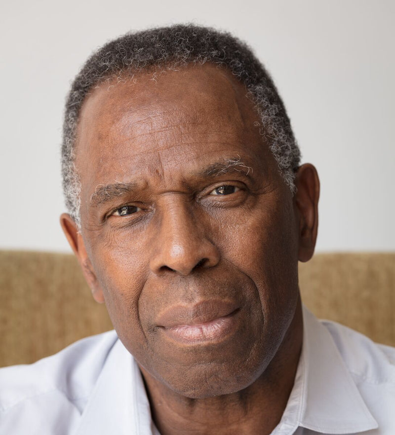 Charles Gaines: Palm Trees and Other Works