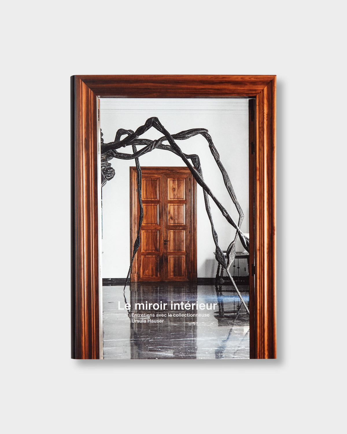 Art book, The Inner Mirror: Conversations with Ursula Hauser, Art ...