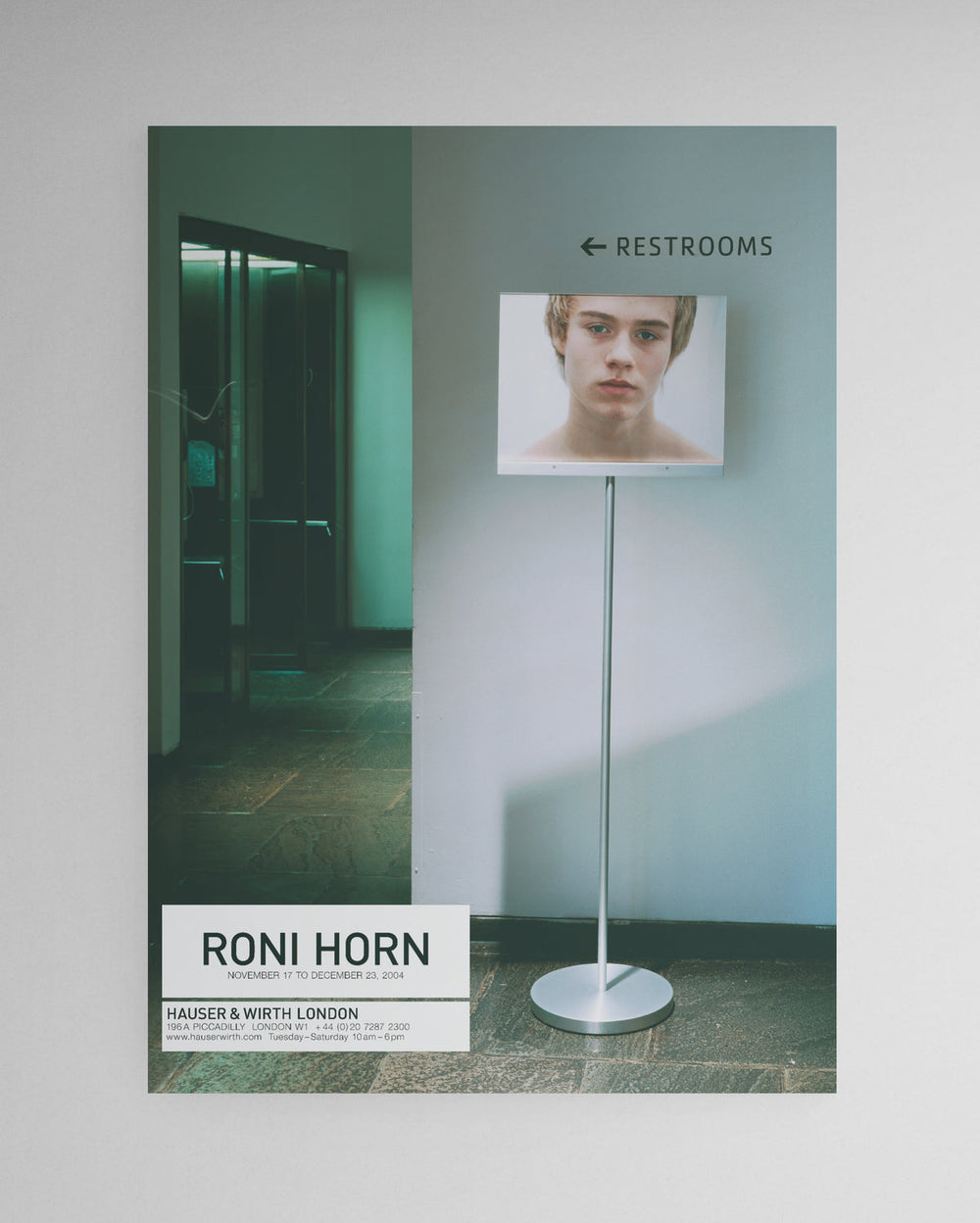 Roni Horn, 2004